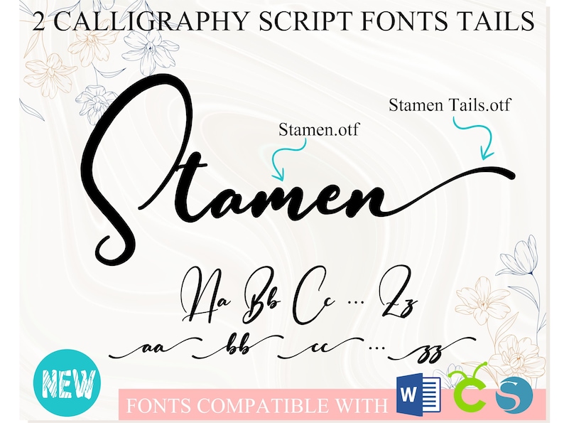 Stamen Font With Tails Cursive Font Calligraphy Font Script - Etsy