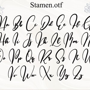 Stamen Font With Tails Cursive Font Calligraphy Font Script Font ...