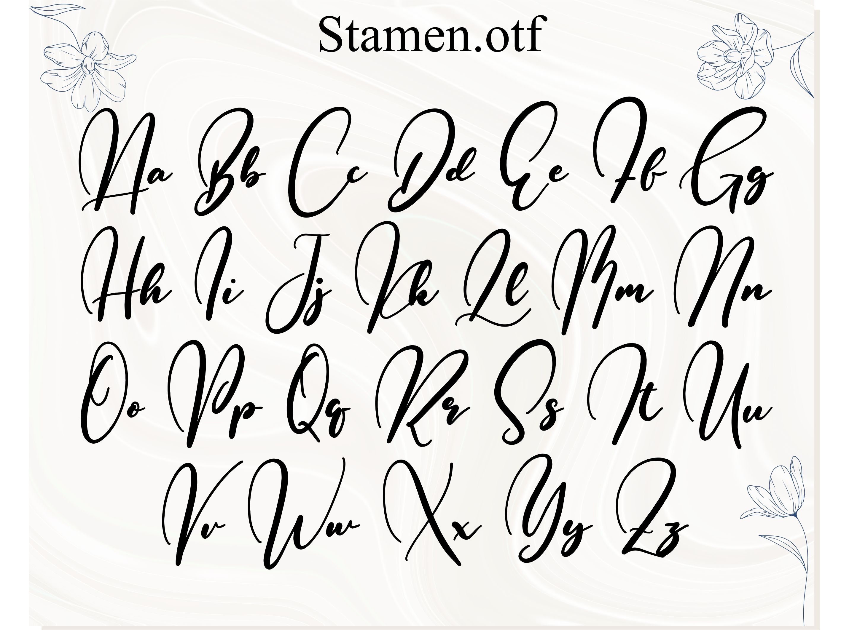Stamen Font With Tails Cursive Font Calligraphy Font Script - Etsy