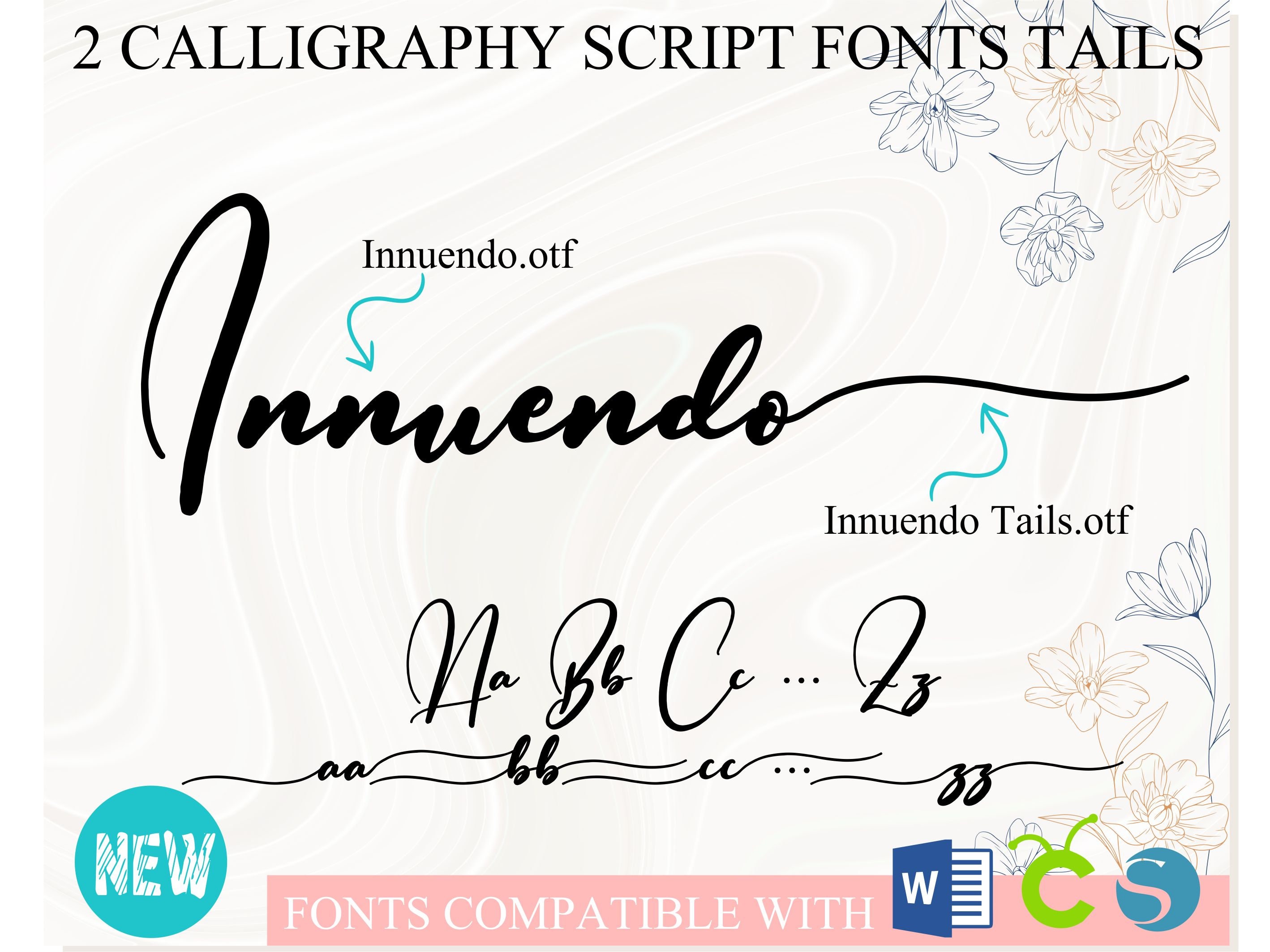 Innuendo Font With Tails Romantic Fonts Script Fonts - Etsy UK