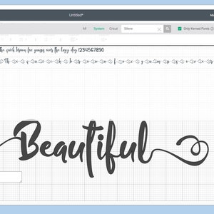 Silene Font With Tails | Romantic Fonts, Script Fonts, Beautiful Fonts ...
