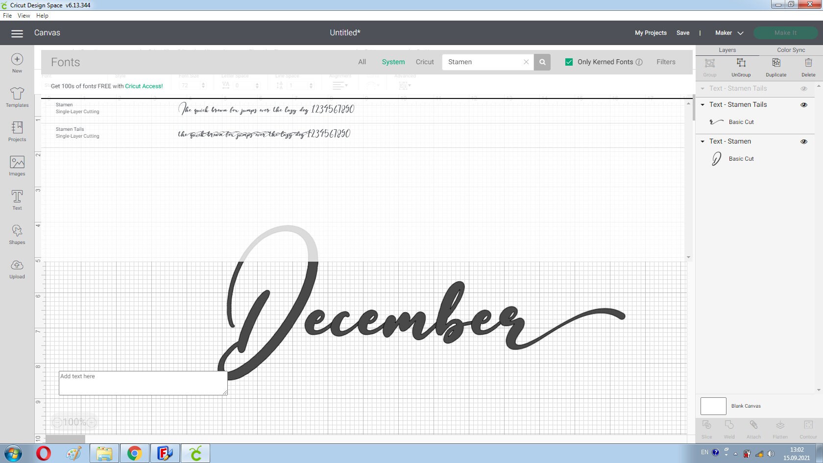 Stamen Font With Tails Cursive Font Calligraphy Font Script - Etsy