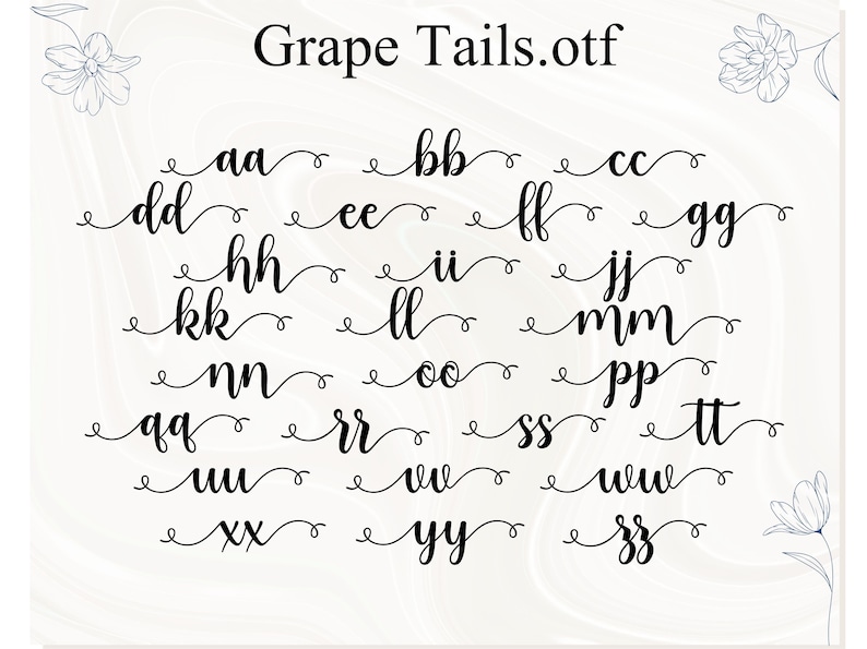 Grape Font With Tails Romantic Fonts Script Fonts - Etsy