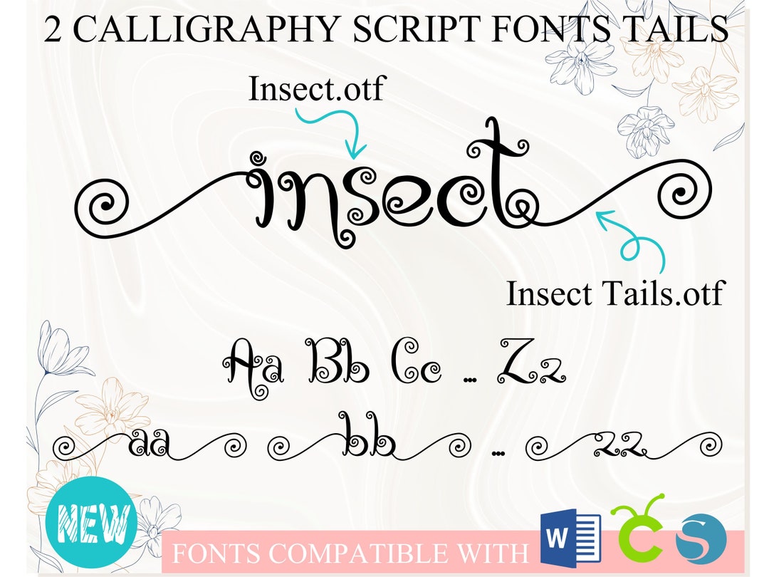 Insect Font With Tails Cursive Font Calligraphy Font Script Font ... Insect Font With Tails Cursive Font Calligraphy Font Script Font ...