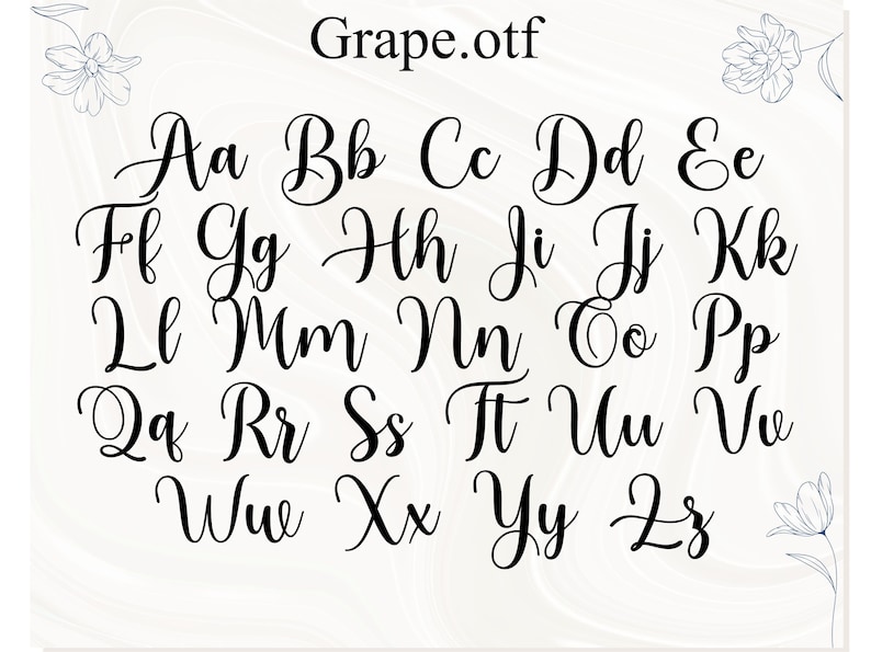Grape Font With Tails Romantic Fonts Script Fonts - Etsy