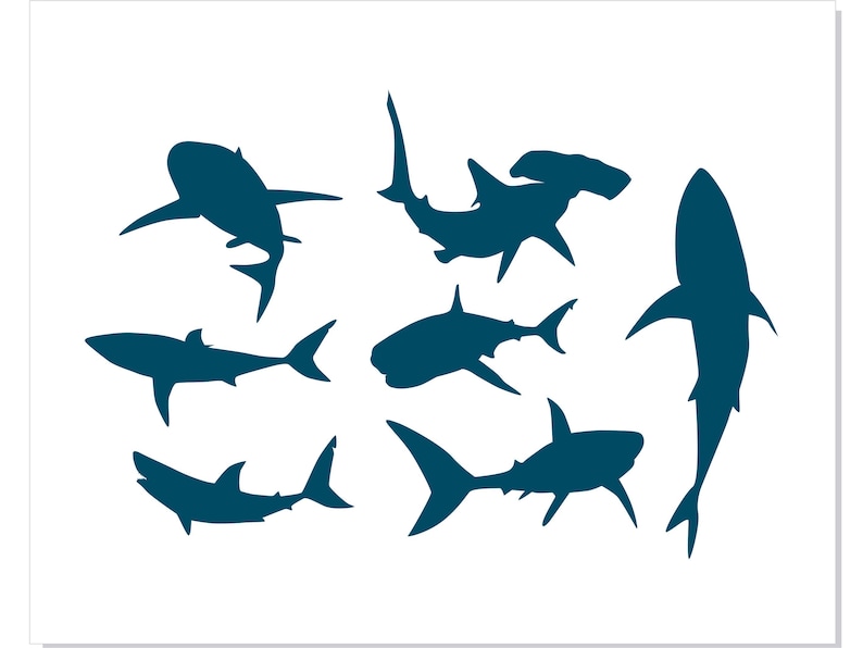 Shark Bundle Shark Font Ott Shark Font Svg Cricut Shark - Etsy