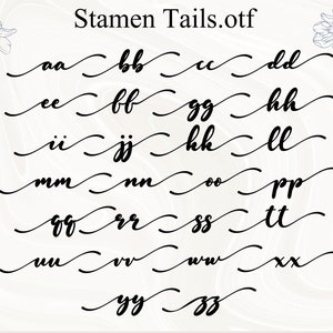 Stamen Font With Tails | Cursive Font Calligraphy Font Script Font ...