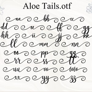 Aloe Font With Tails | Romantic Fonts, Script Fonts, Beautiful Fonts ...