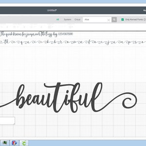 Aloe Font With Tails | Romantic Fonts, Script Fonts, Beautiful Fonts ...