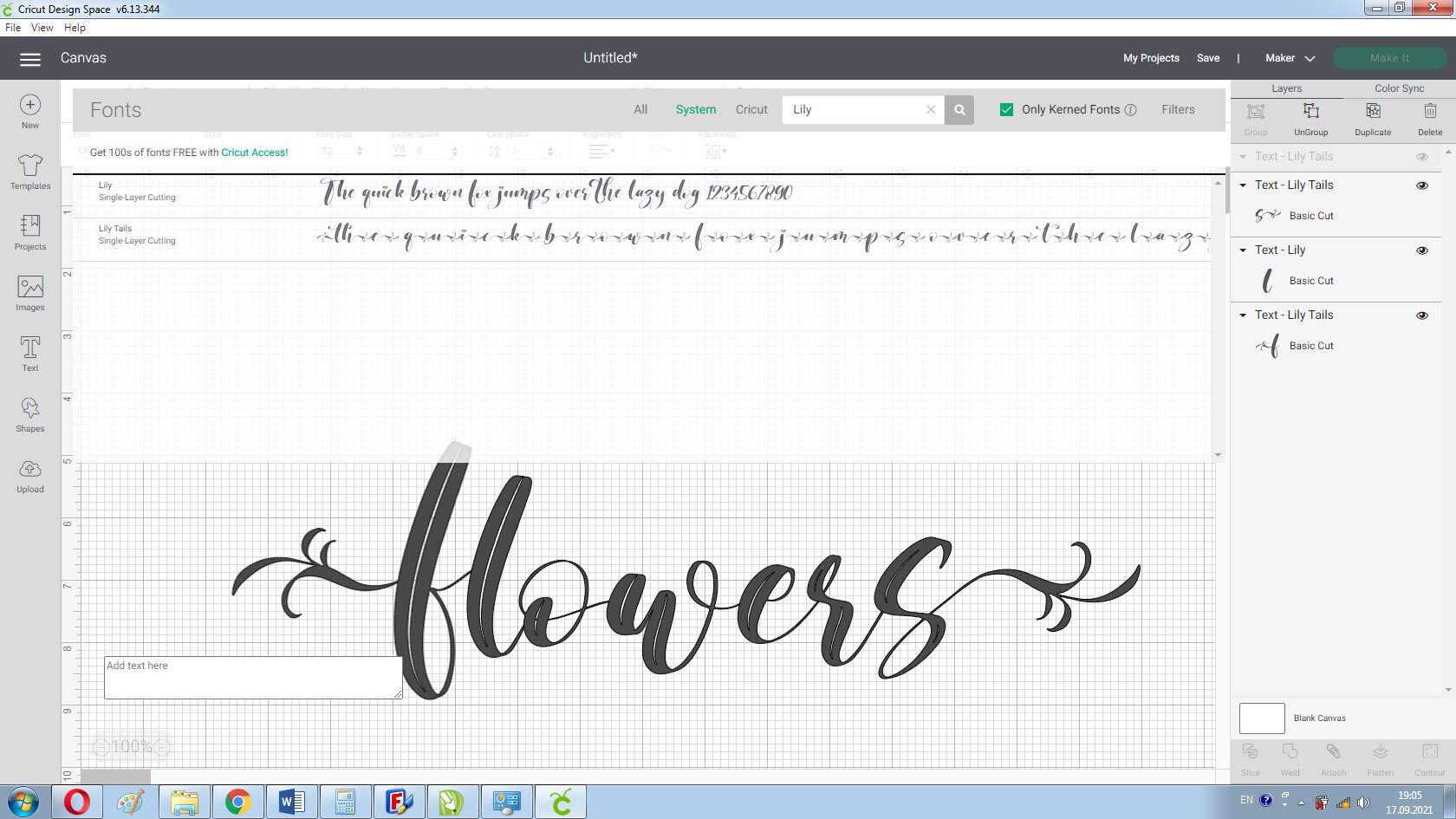 Lily Font With Tails Romantic Fonts Script Fonts Font With - Etsy UK