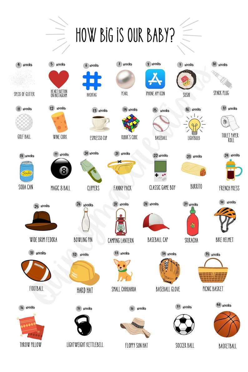 How Big is Our Baby Unique Week by Week Comparison for Pregnancy - Etsy