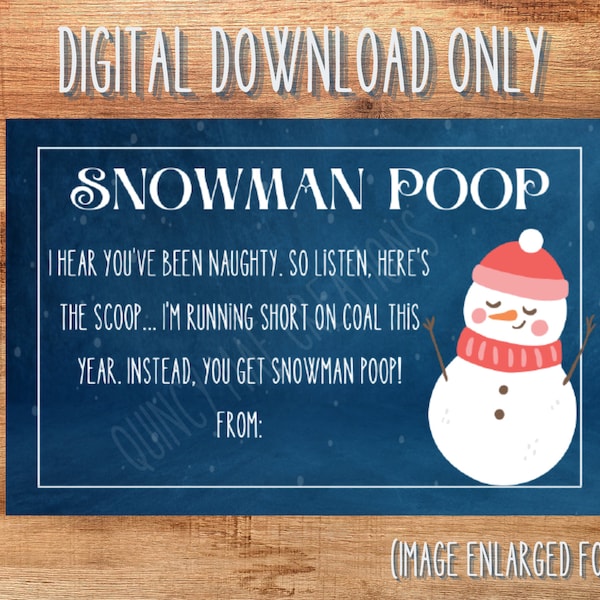 Snowman Poop Bag Topper - Etsy