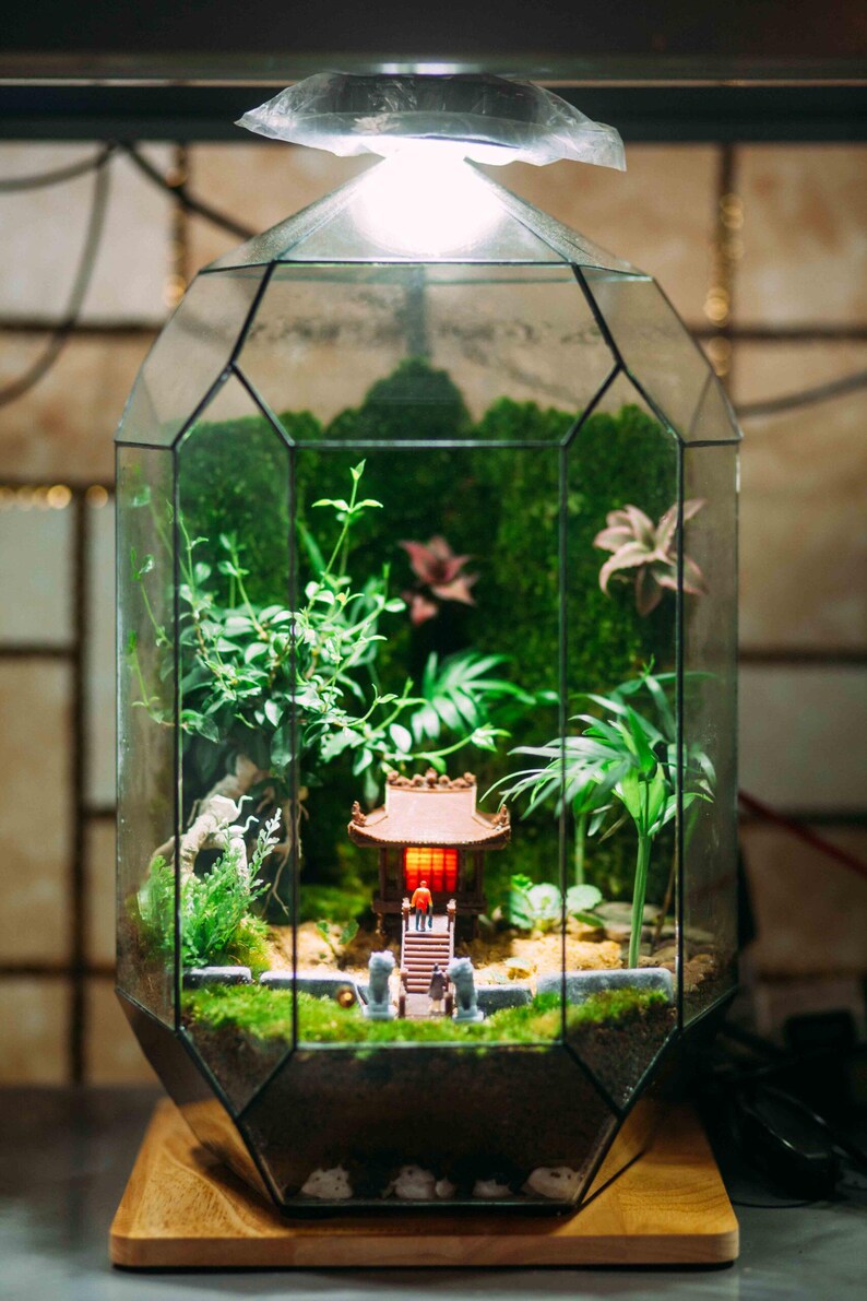 Geometric Terrarium 22 X 22 X 38 Only Tank No Plants - Etsy
