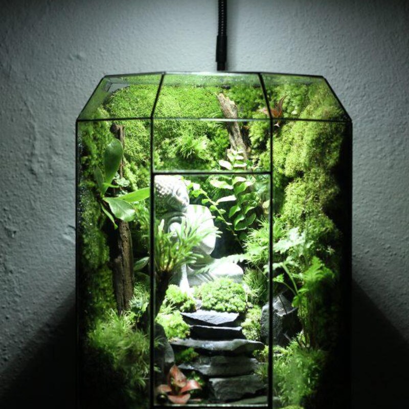 Geometric Terrarium - Etsy