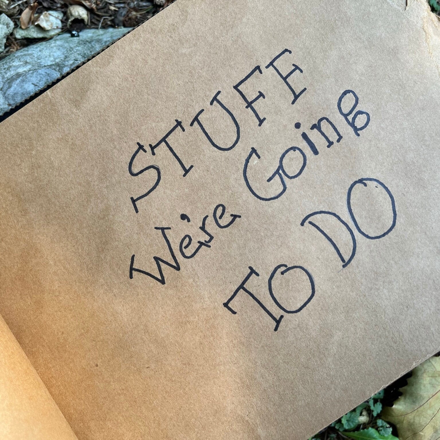 Custom Handcrafted UP Adventure Book Complete With Hand Torn Pages, 20 ...