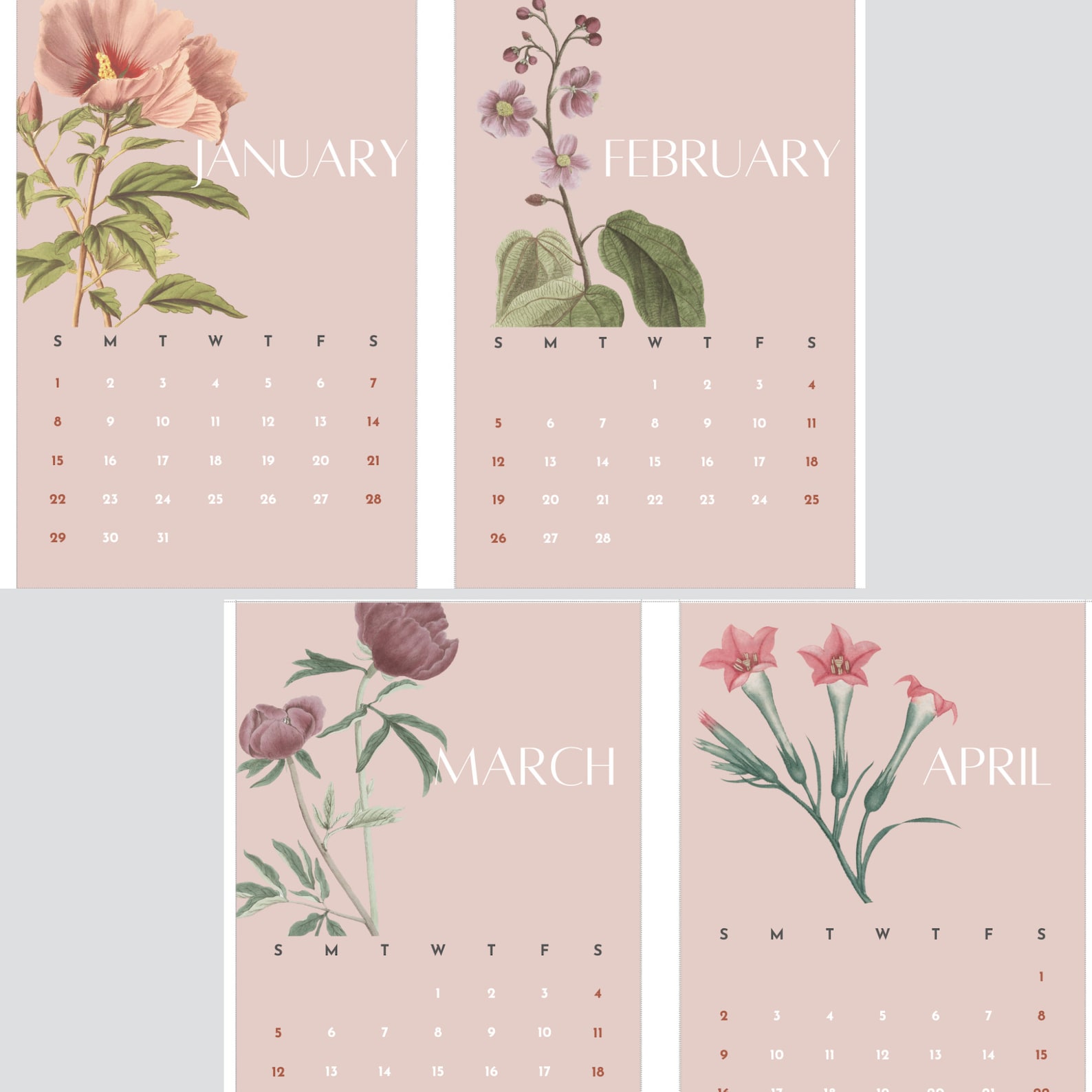 PRINTABLE 2023 Calendar Vintage Floral Desk Calendar Botanical - Etsy
