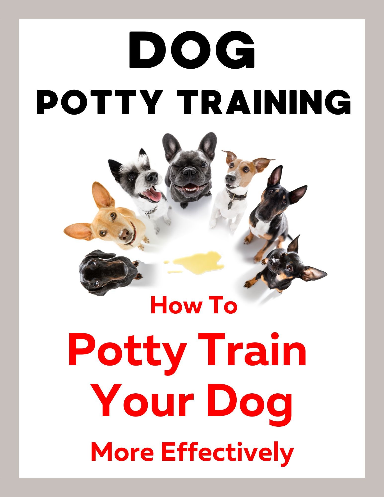 DOG POTTY TRAINING, How to Potty Train Your Dog, Puppy Potty Training ...