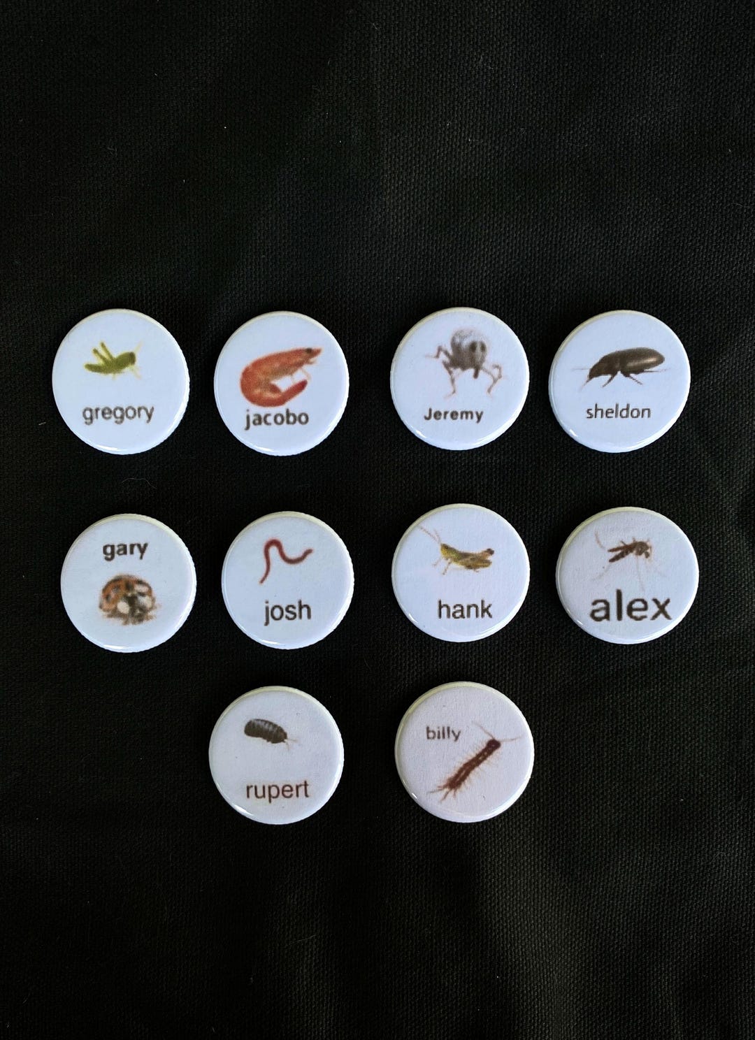 Bug Meme Pin Back Button: Weirdcore Y2K Accessory - Etsy