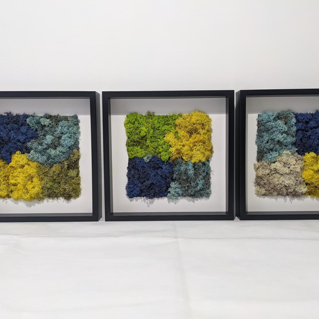 Triple Square Moss Art 37x37cm - Etsy