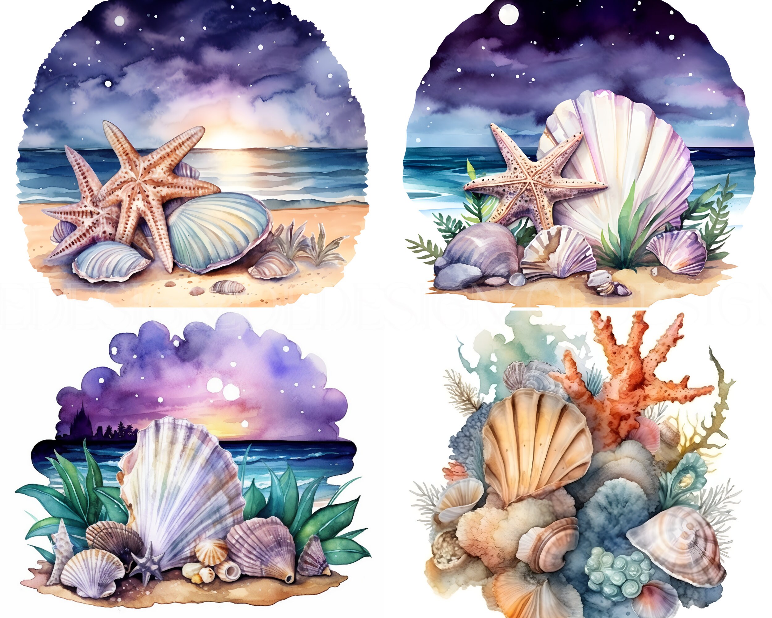 Seashell & Starfish Clipart Digital Paper Collection Printing ...