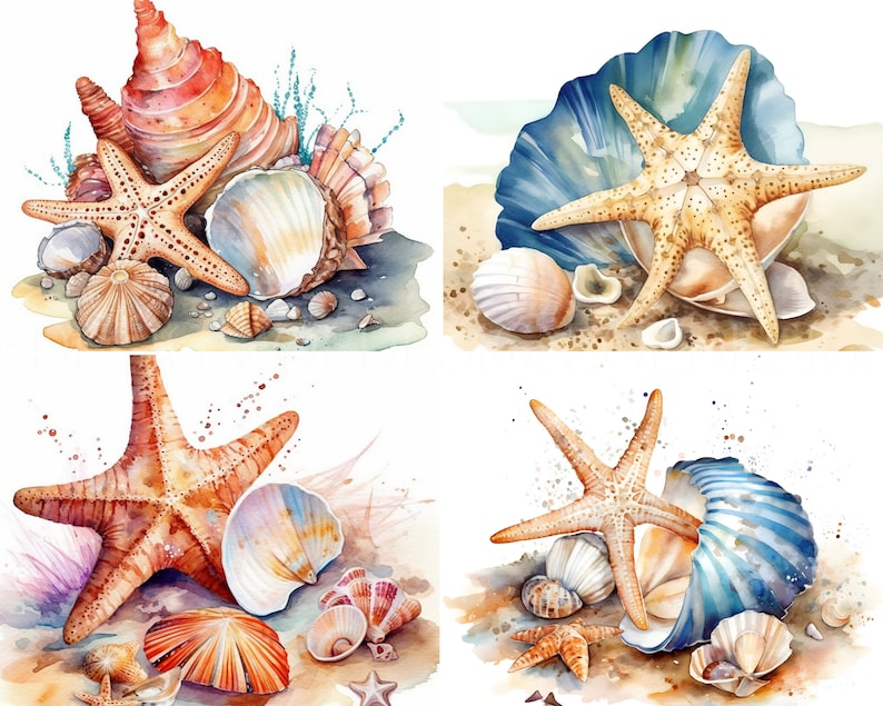Seashell Starfish Clipart: 24 Coastal Digital Paper Backgrounds ...