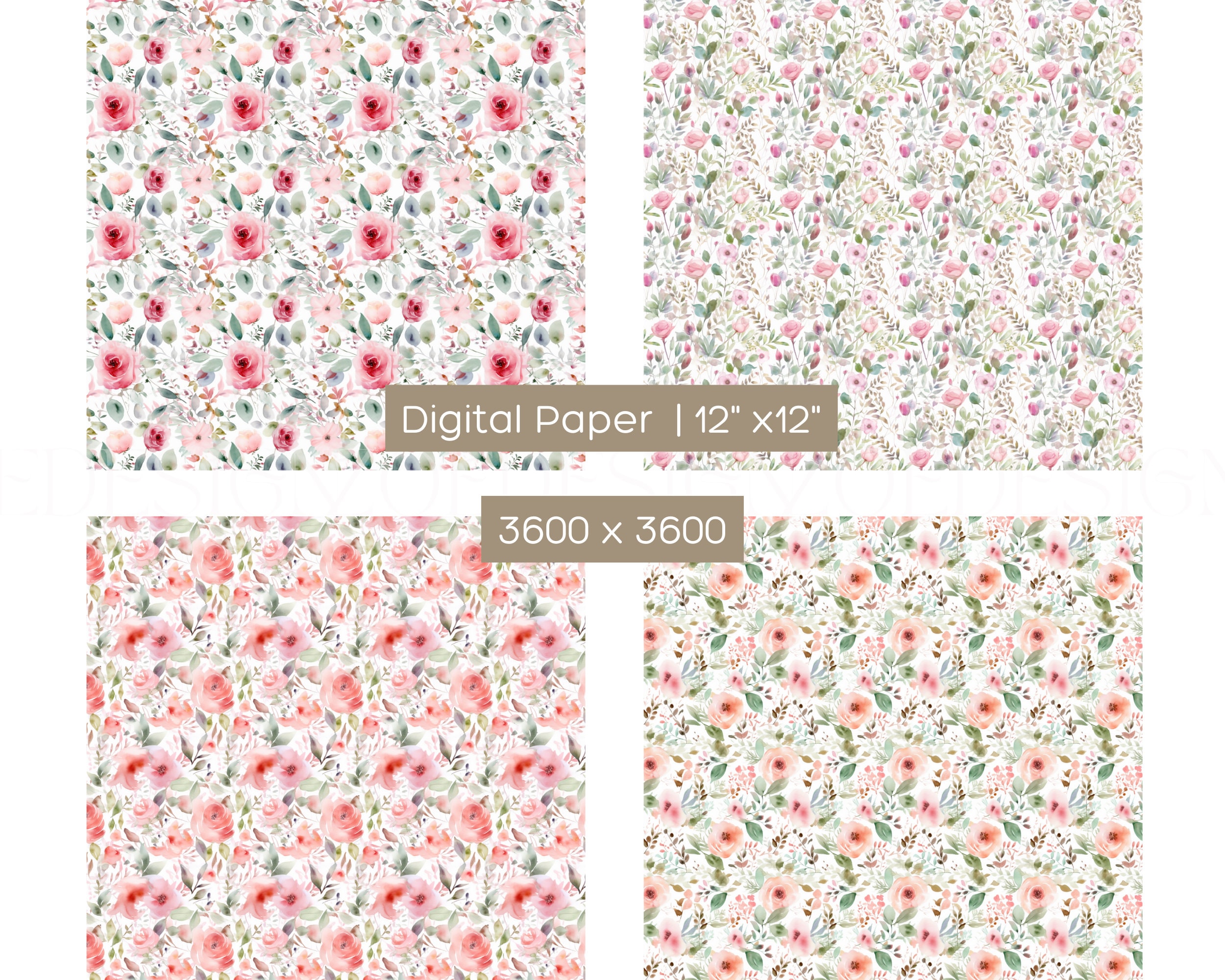 Pink Blush Roses Floral Digital Paper - Watercolor Flower Backgrounds ...