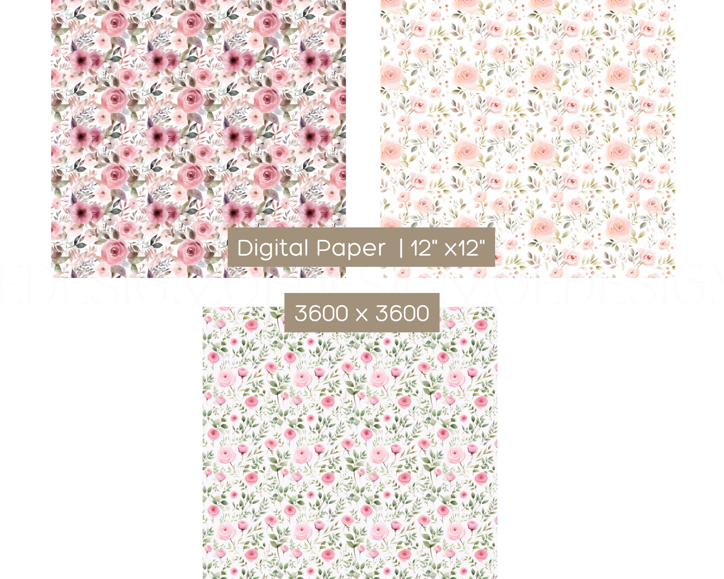 Pink Blush Roses Floral Digital Paper Watercolor Flower Backgrounds ...