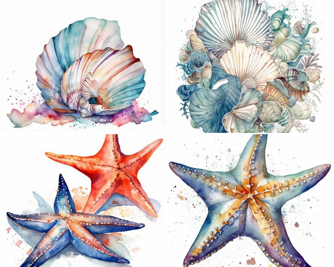 Seashell & Starfish Clipart Digital Paper Collection - Etsy