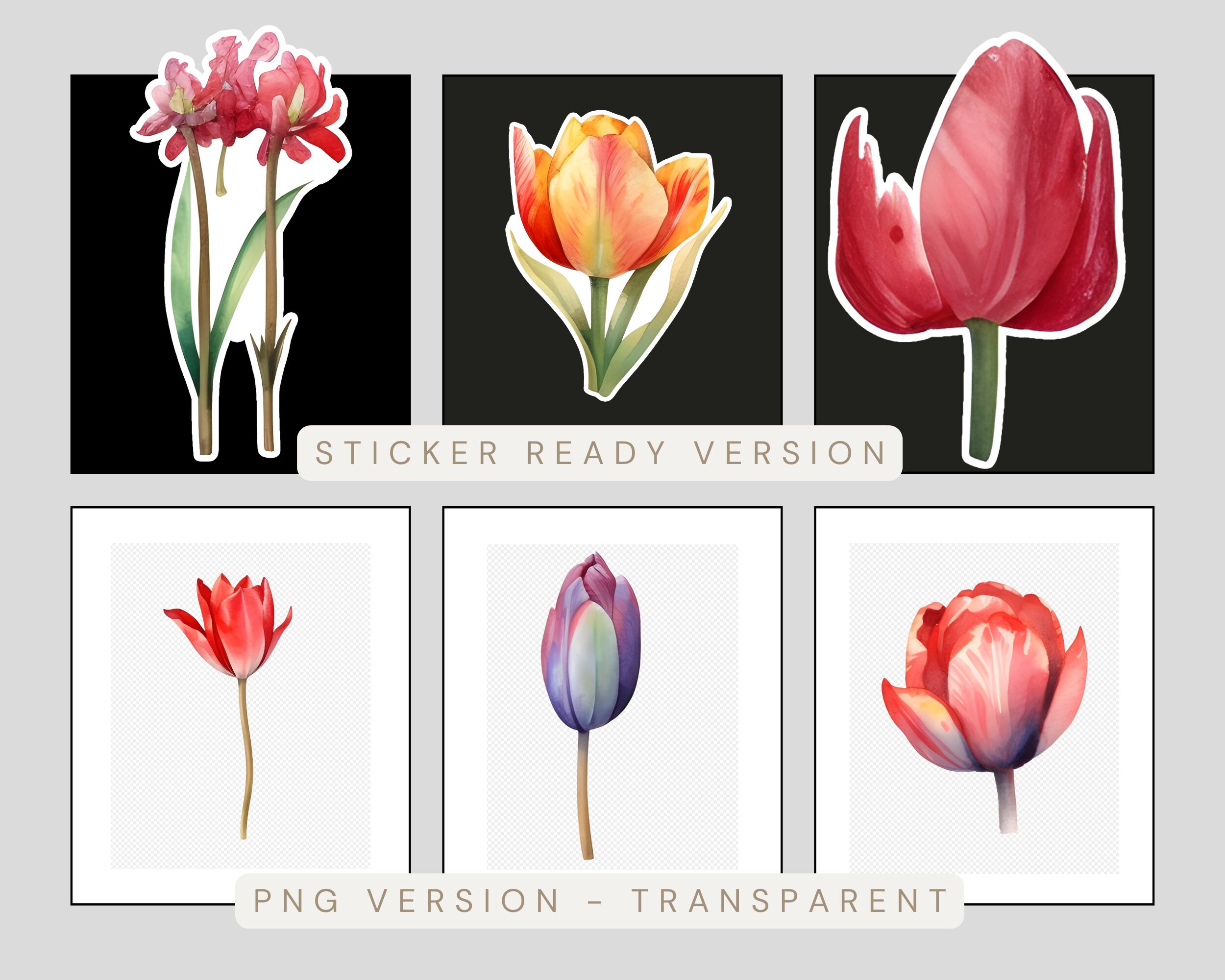40+ Watercolor Clipart - Tulip Flower - Sticker Ready - Transparent PNG ...