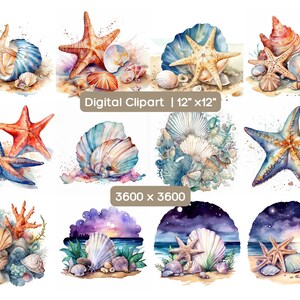Seashell Starfish Clipart: 24 Coastal Digital Paper Backgrounds ...