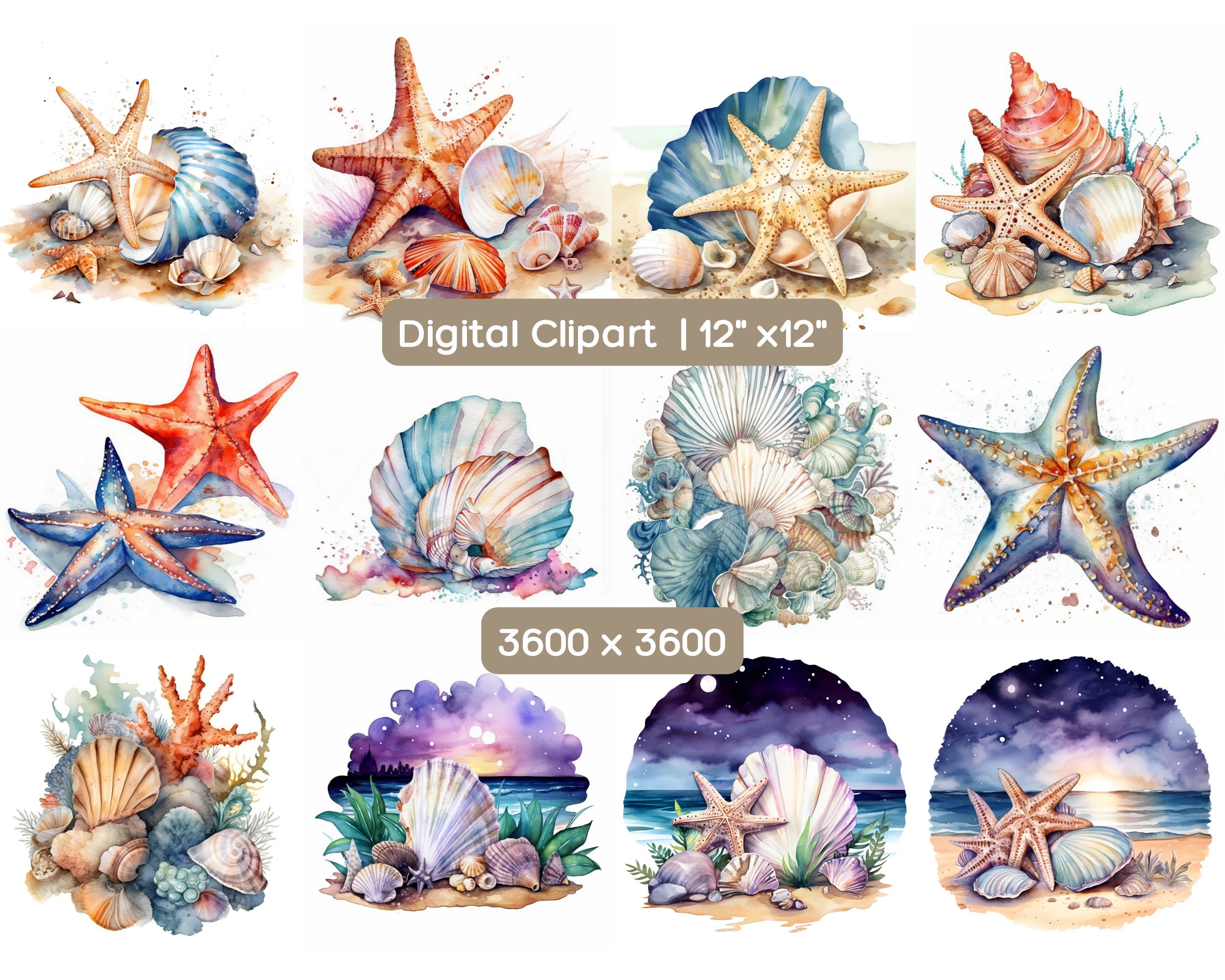 Seashell & Starfish Clipart Digital Paper Collection Printing ...