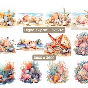 Seashell & Starfish Clipart Digital Paper Collection - Printing ...