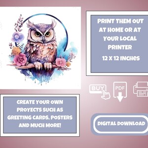 Floral Owl Clipart Pink Owl Png Flower Bird Clipart Owl Lover Png ...