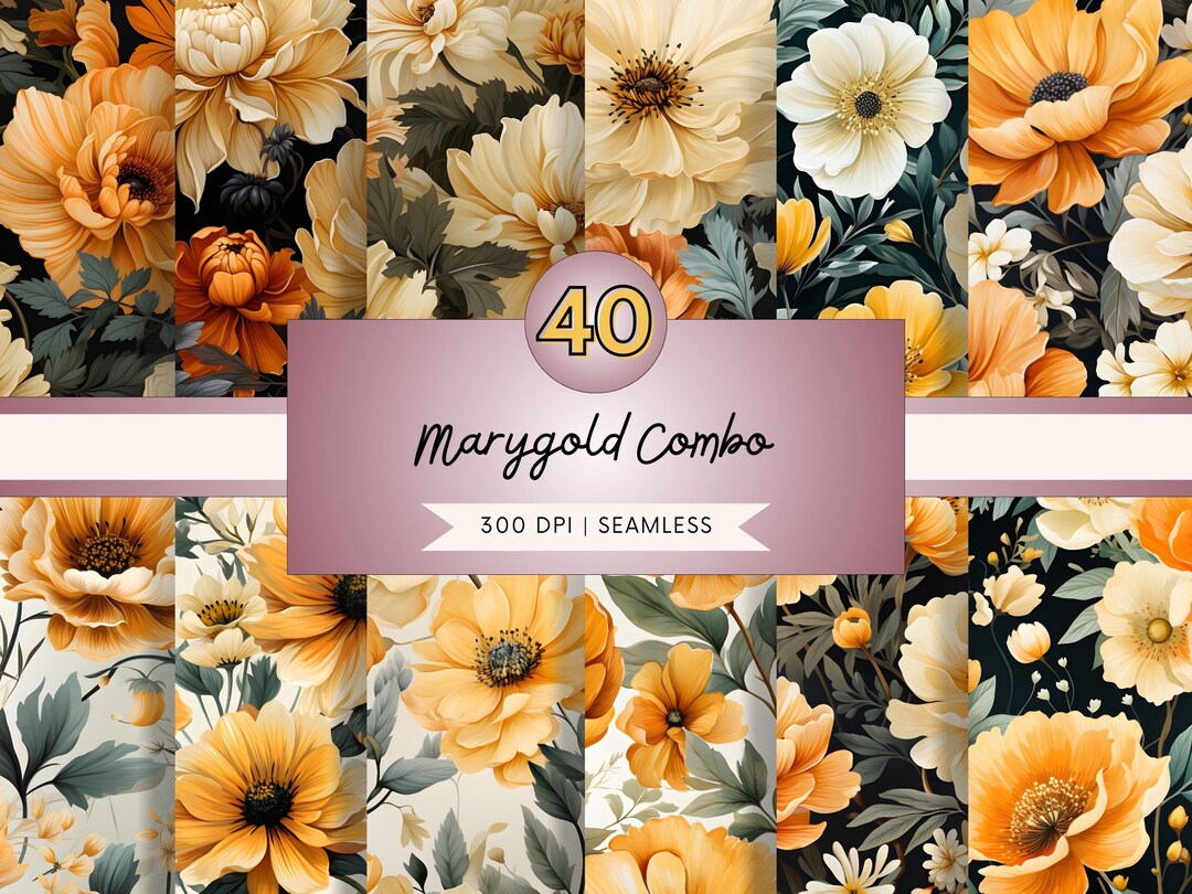 Marygold Flower Seamless Pattern Bundle October Floral Birthmonth ...