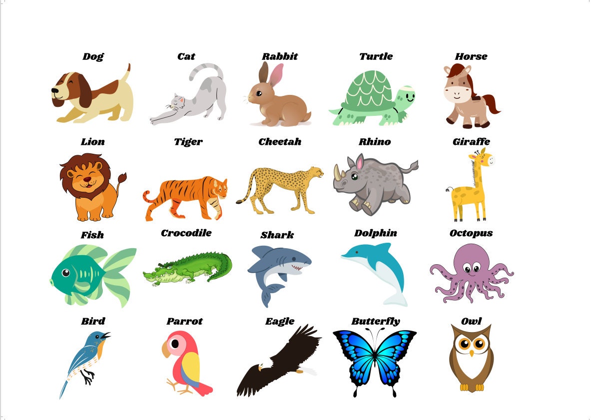Animals Print, Animals Digital Print, Sea Animals, Jungle Animals, Air ...