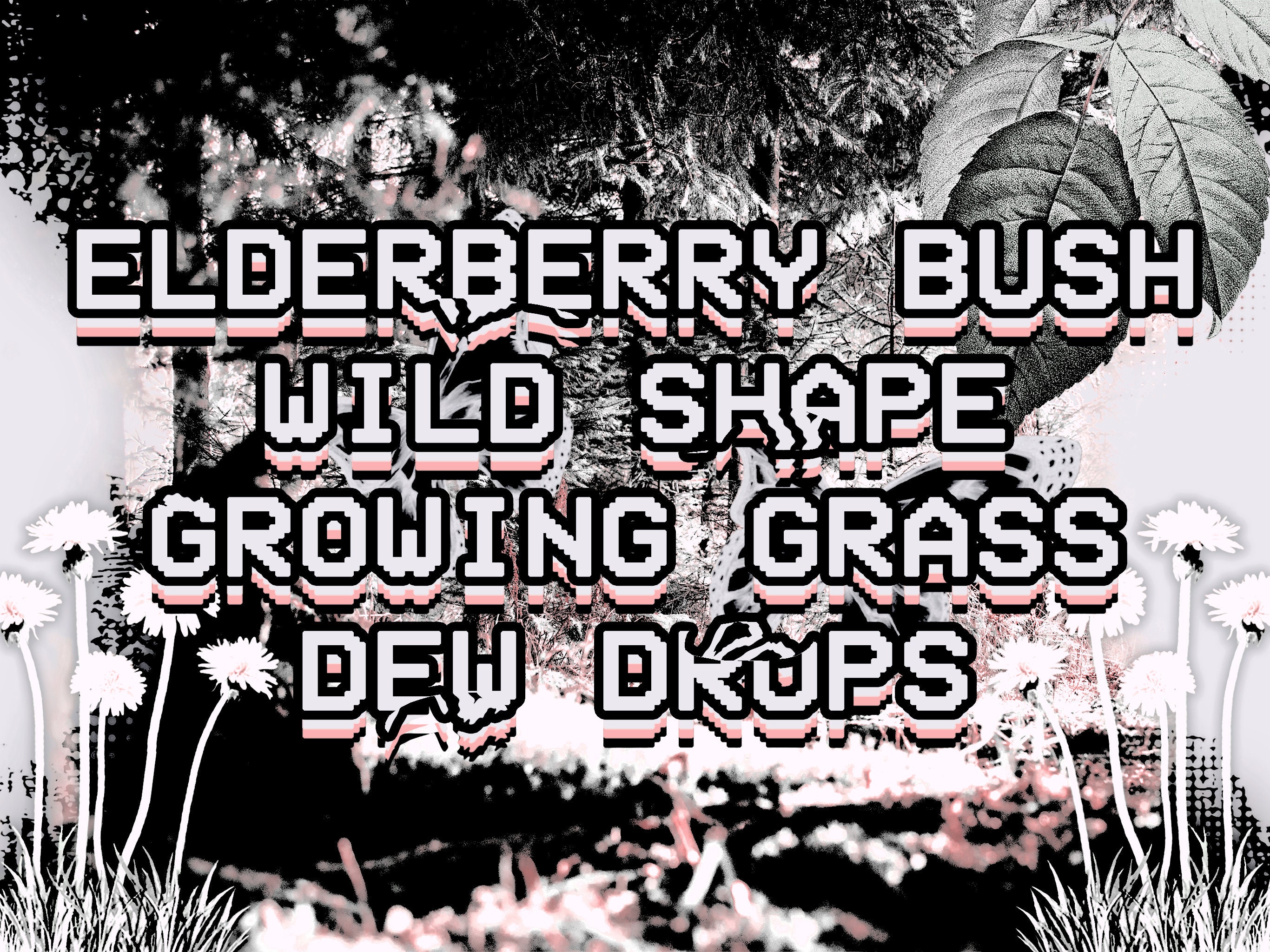 Druid Perfume - Dungeons and Dragons - Etsy