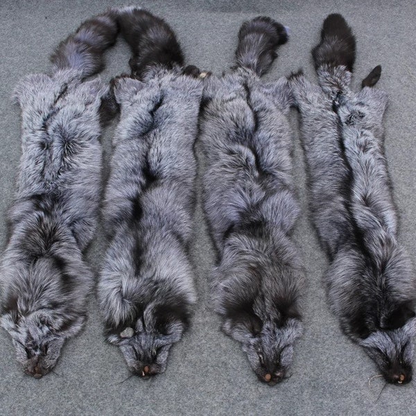 Fox Pelt - Etsy