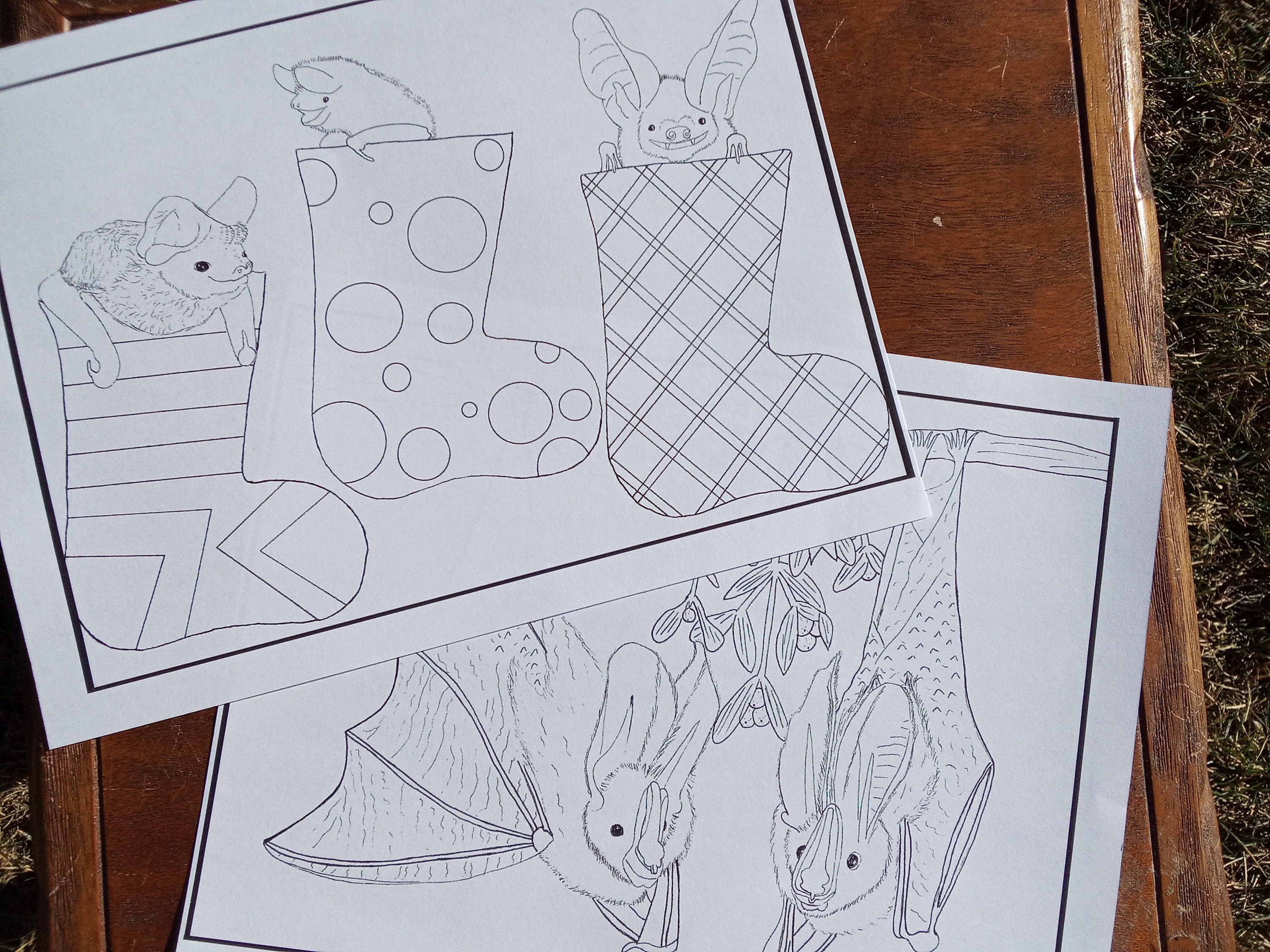Five Christmas Bats Coloring Pages- Digital Downloads- - Etsy