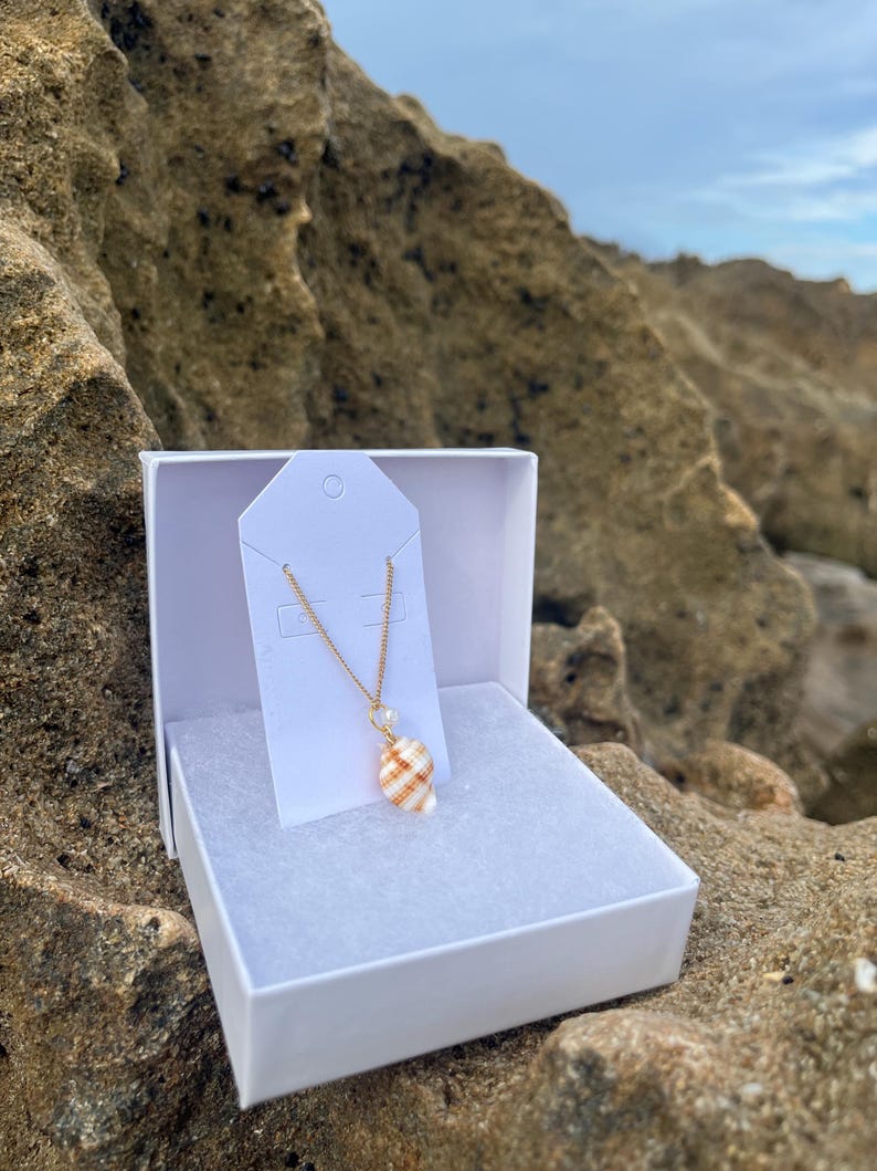 This Beautiful Orange and White Scotch Bonnet Shell With a Small Pearl ...