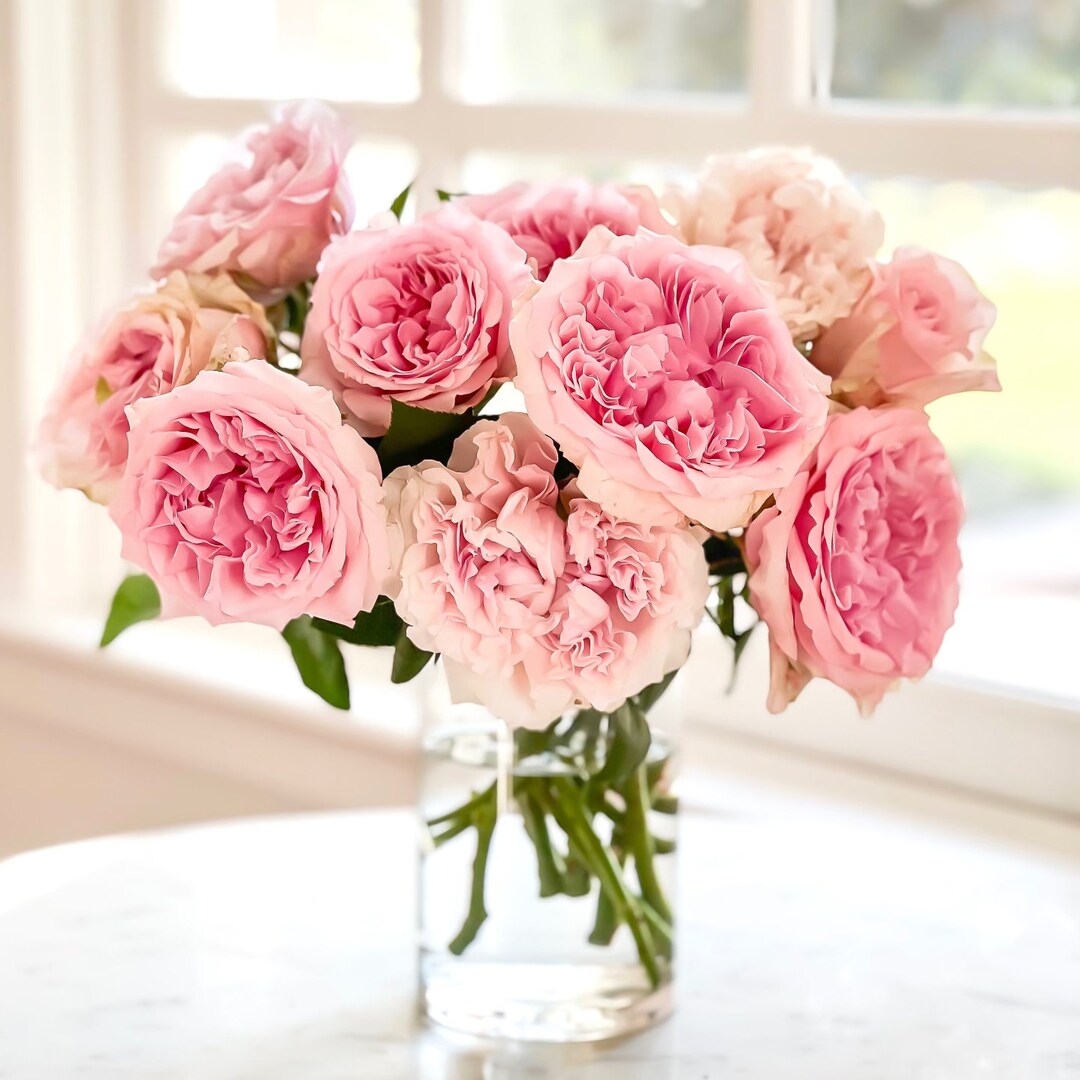 David Austin Miranda Pink Luxury Cut Garden Roses 12 Stems - Etsy