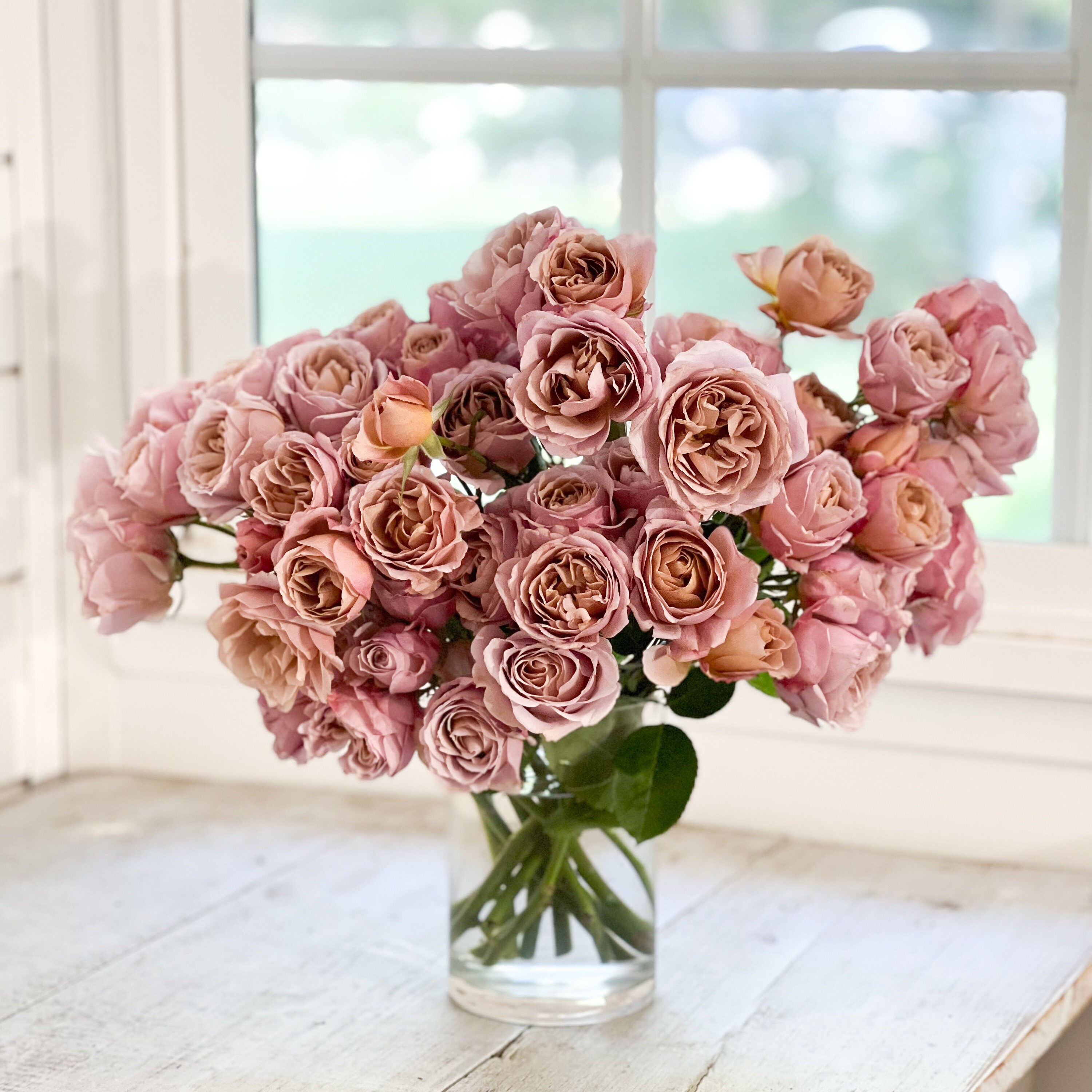 Loli Spray Wabara Luxury Cut Spray Garden Roses 12 Stems per Bunch - Etsy