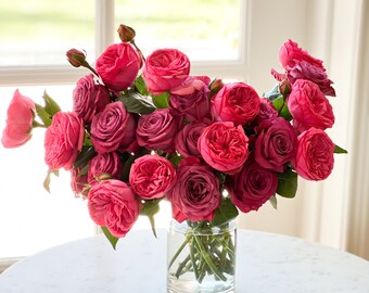 Cristina Luxury Cut Garden Rose Bouquet 24 Stems - Etsy