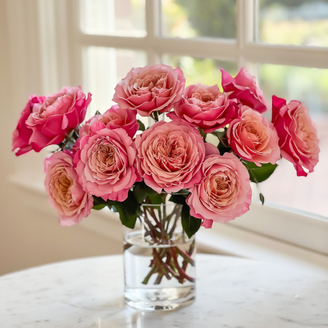 Miyabi Wabara Luxury Cut Garden Roses 12 Stems per Bunch - Etsy