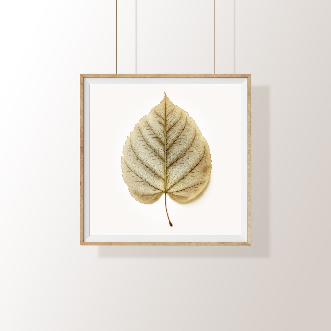 Leaf Wall Art Print, Botanical Print, Minimalist Wall Art, Printable ...