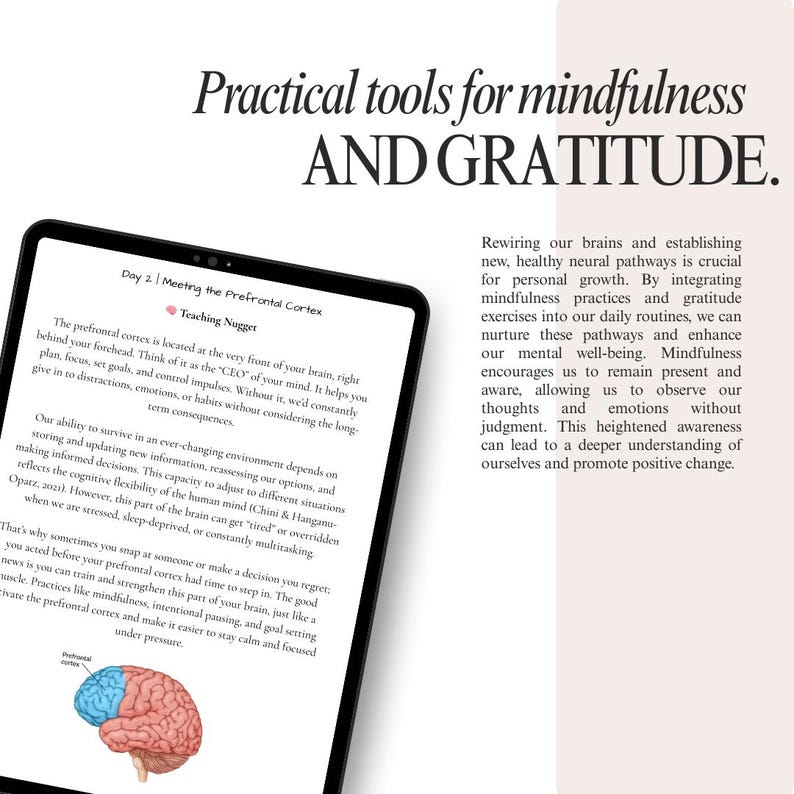 30-day Mindset Reset | Neural Pathways Workbook | Personal Growth ...