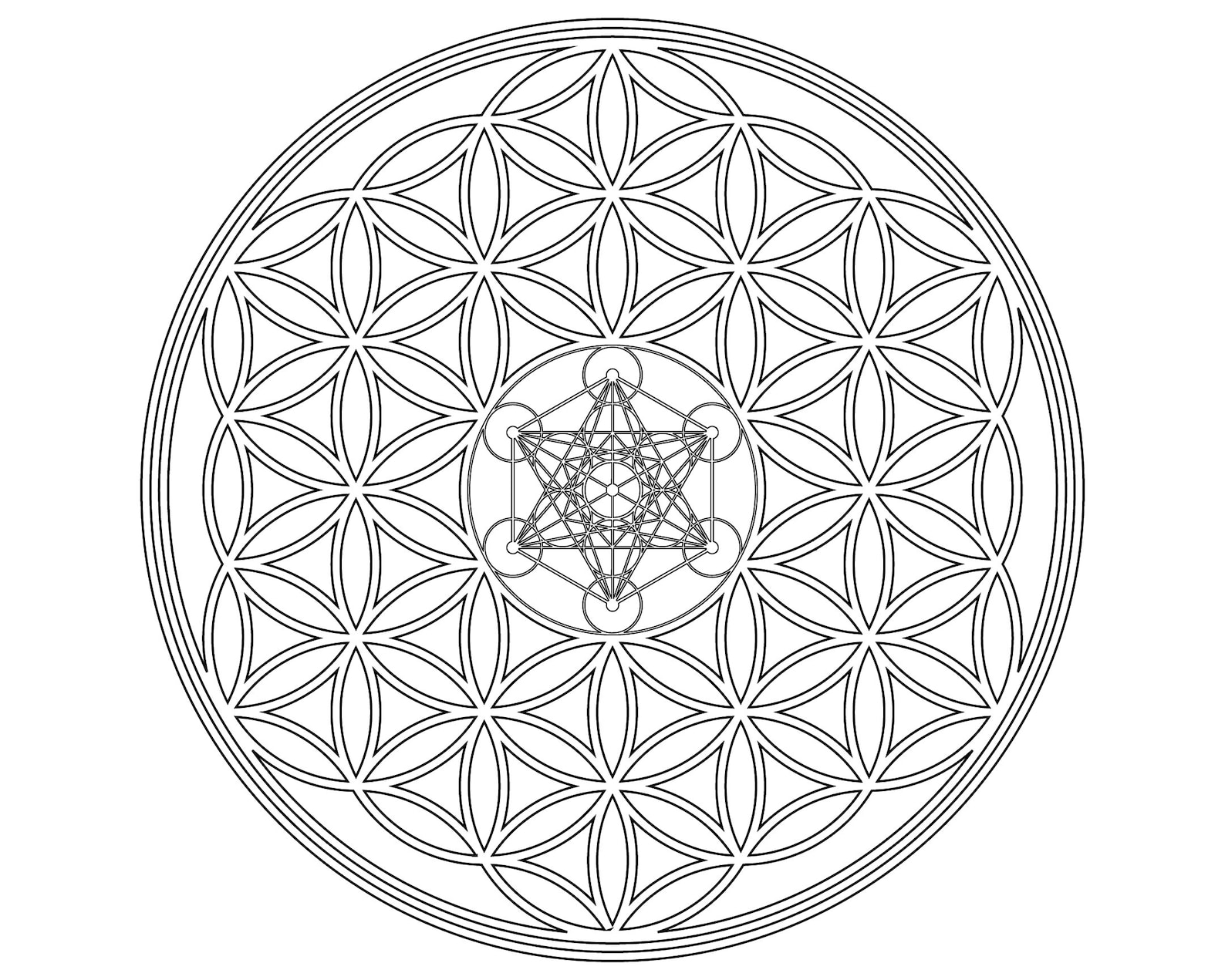 Fleur de vie SVG avec Metatrons Cube géométrie sacrée SVG - Etsy France
