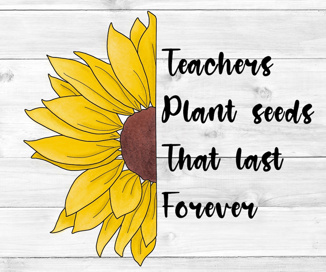 PNG, Teacher Png, Teacher Appreciation, Sunflower Png, Flower Png ...