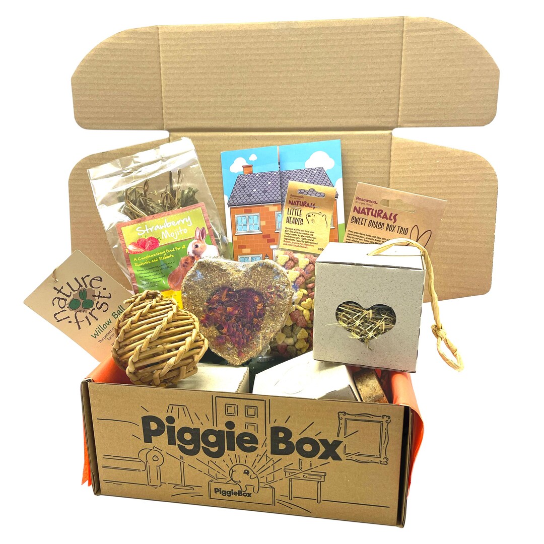 Guinea Pig Valentines Toy & Treat Gift Box Hamper - Etsy UK