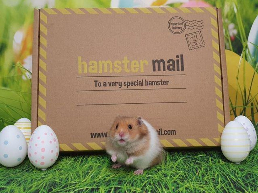 Hamster Easter Mystery Gift Hamper *pre- Order* - Etsy