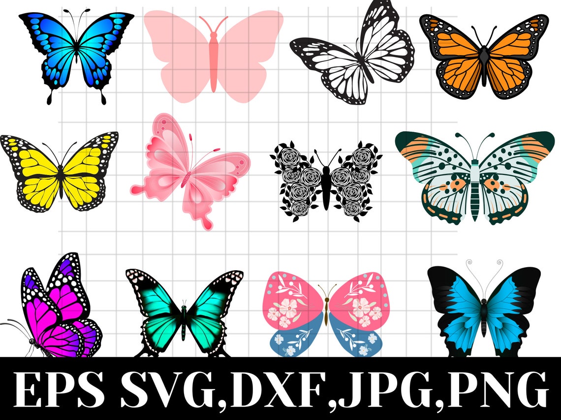 Layered Butterfly SVG Bundle Butterfly SVG Butterfly - Etsy
